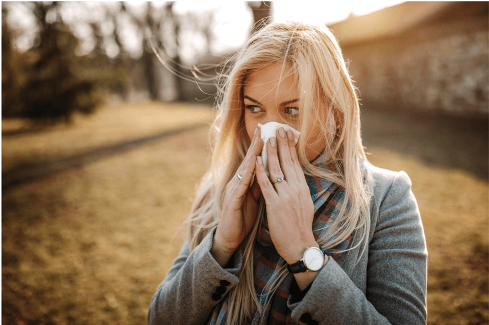 How Can ENT Help You and Your Allergies | Troy, Michigan